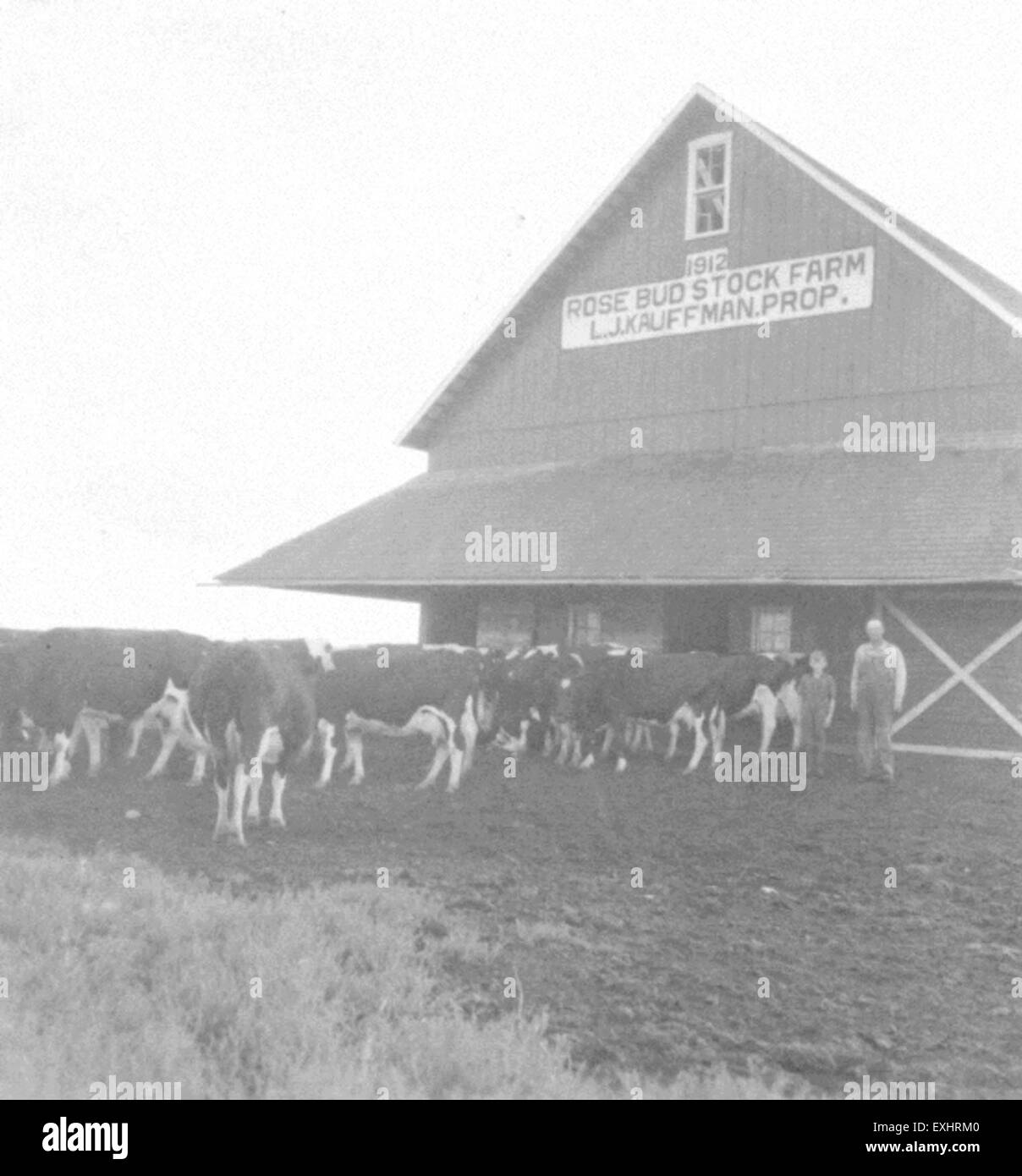 Tofield hi-res stock photography and images - Alamy