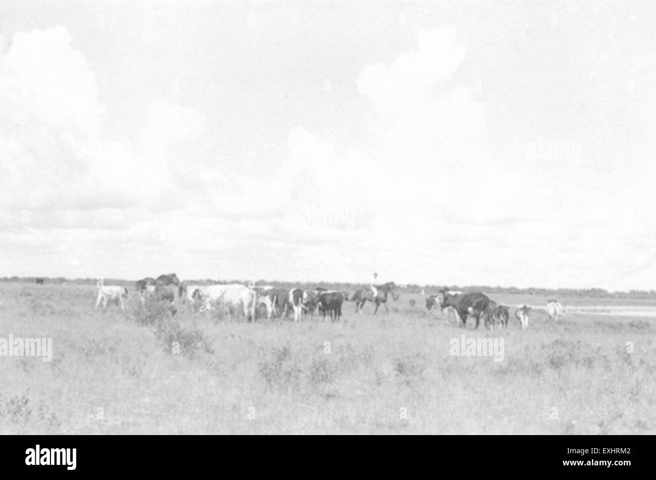 Tofield hi-res stock photography and images - Alamy