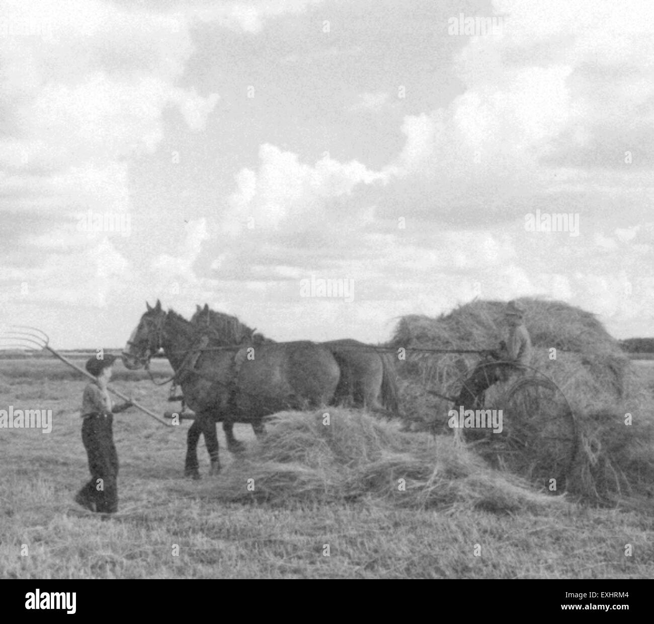 Tofield High Resolution Stock Photography and Images - Alamy