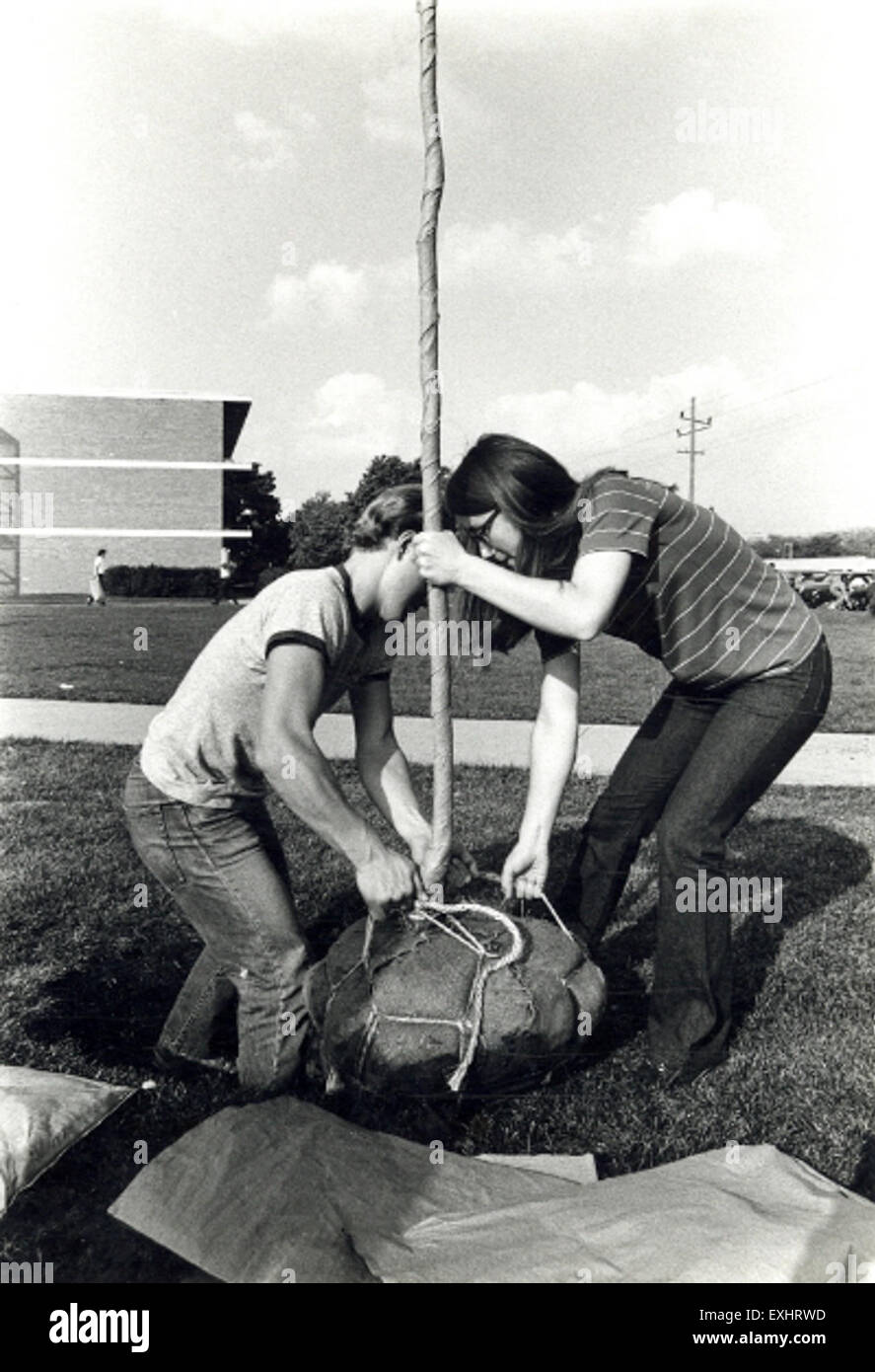 Two Students Lifting A Tree Stock Photo - Alamy