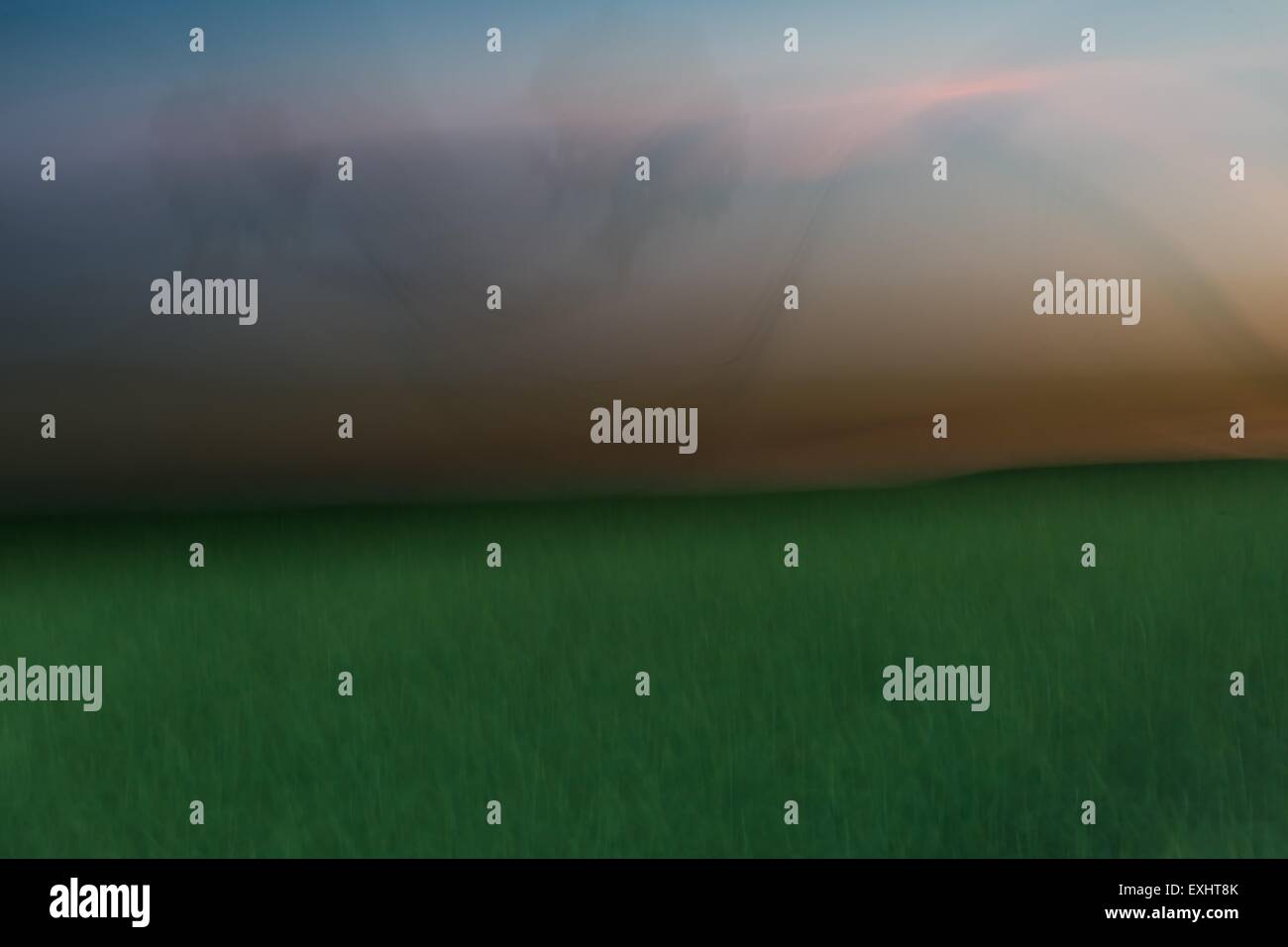 Background of blurred landscape. Corn field photographed at sunset or ...