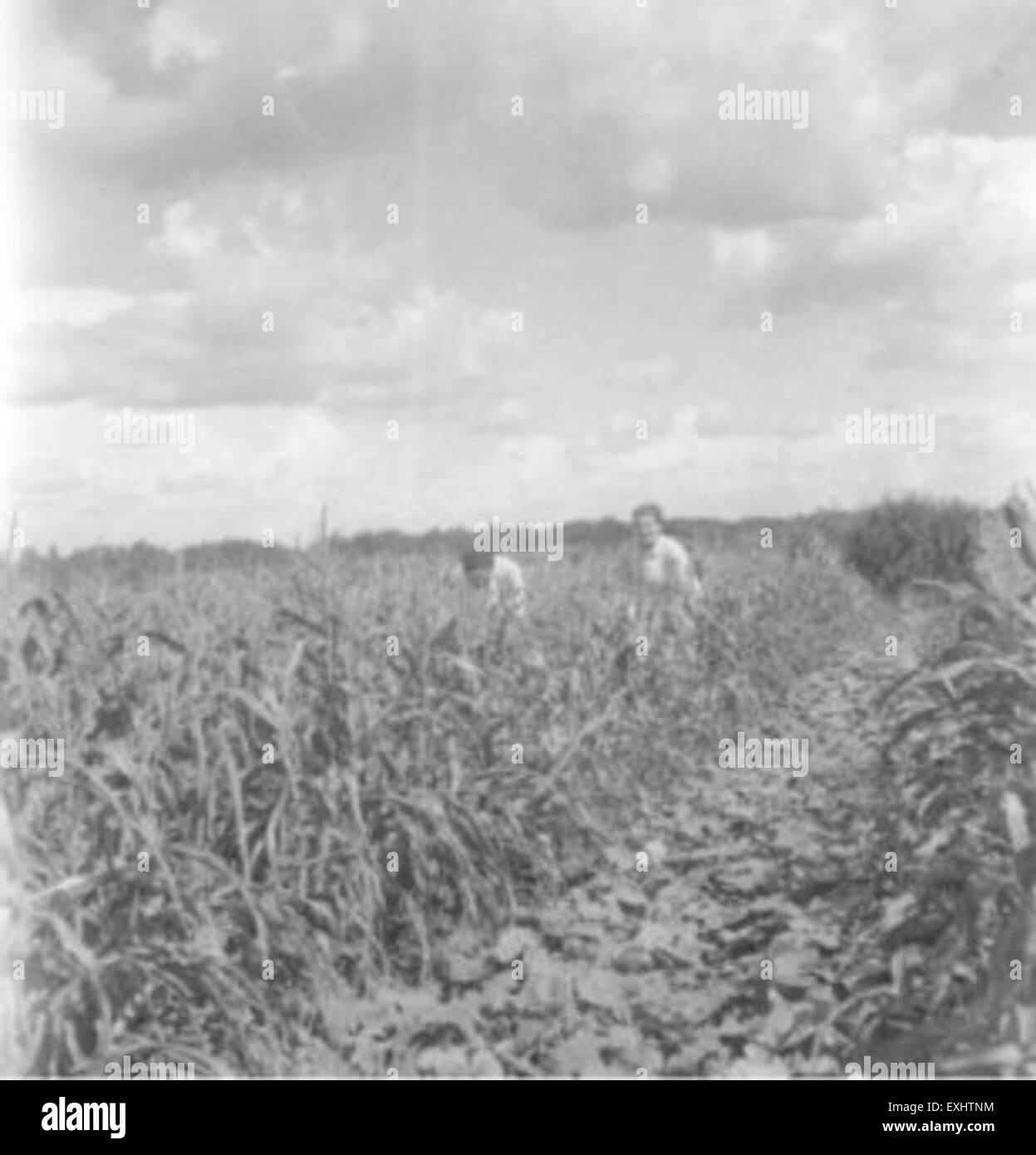 Tofield alberta hi-res stock photography and images - Alamy