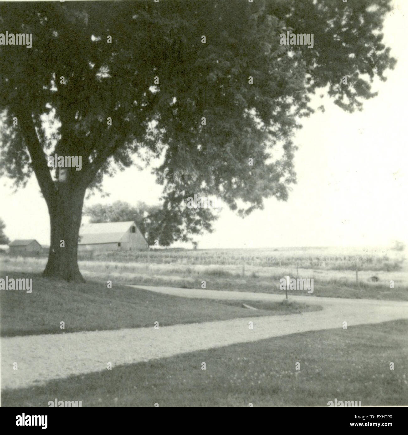 Wellman hi-res stock photography and images - Alamy