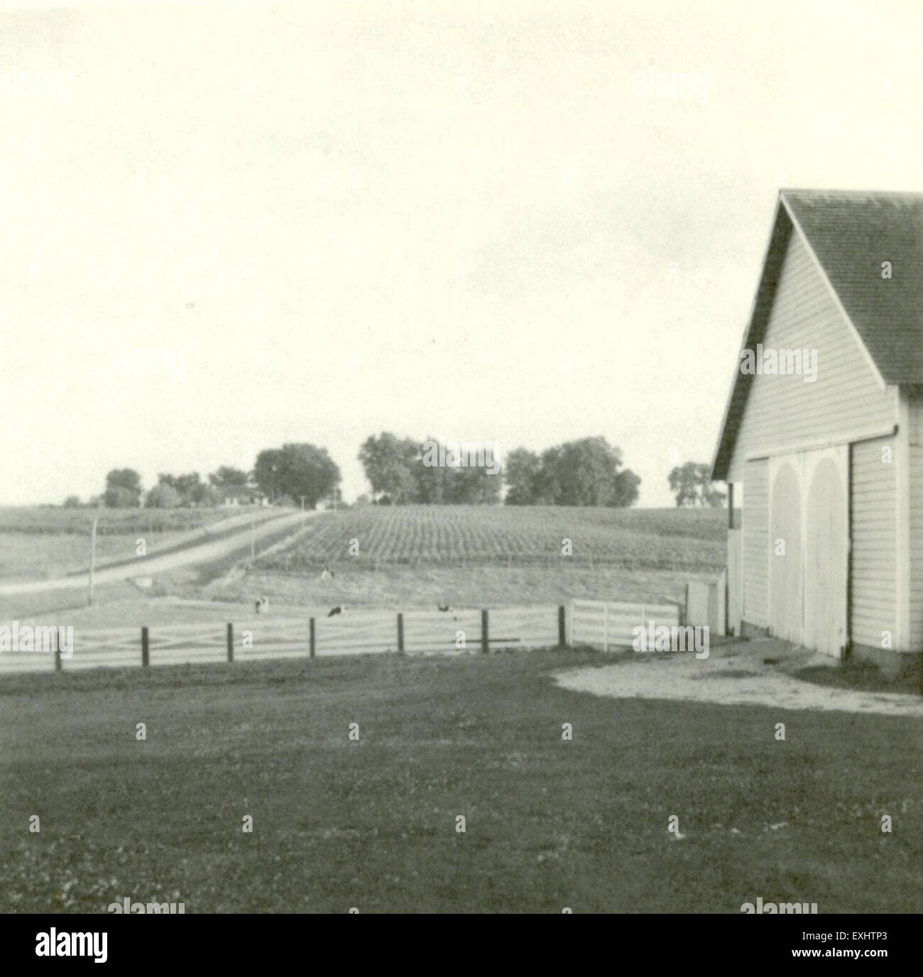 A depiction of rural life in Wellman, Iowa, featuring agricultural land ...