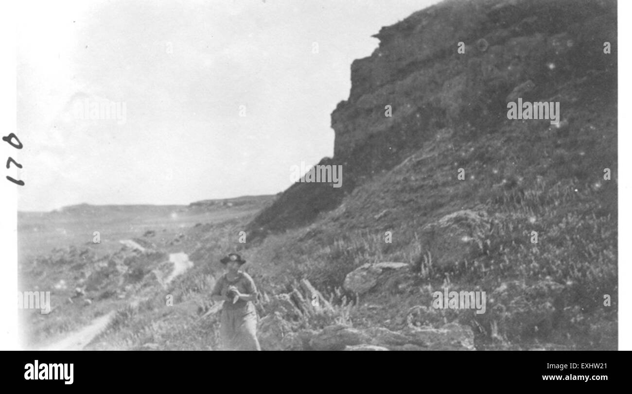 This artwork features a woman standing in front of a plateau, capturing ...