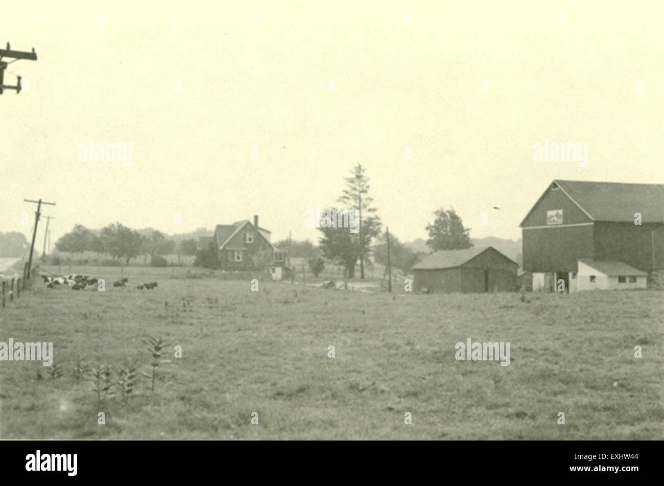 This photograph captures a rural scene from Wooster, Ohio, featuring a ...