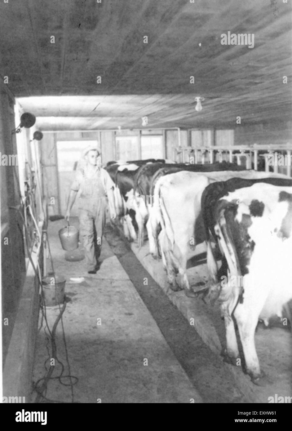 A photograph of the Yoder Mennonite Community Farms in Kansas ...
