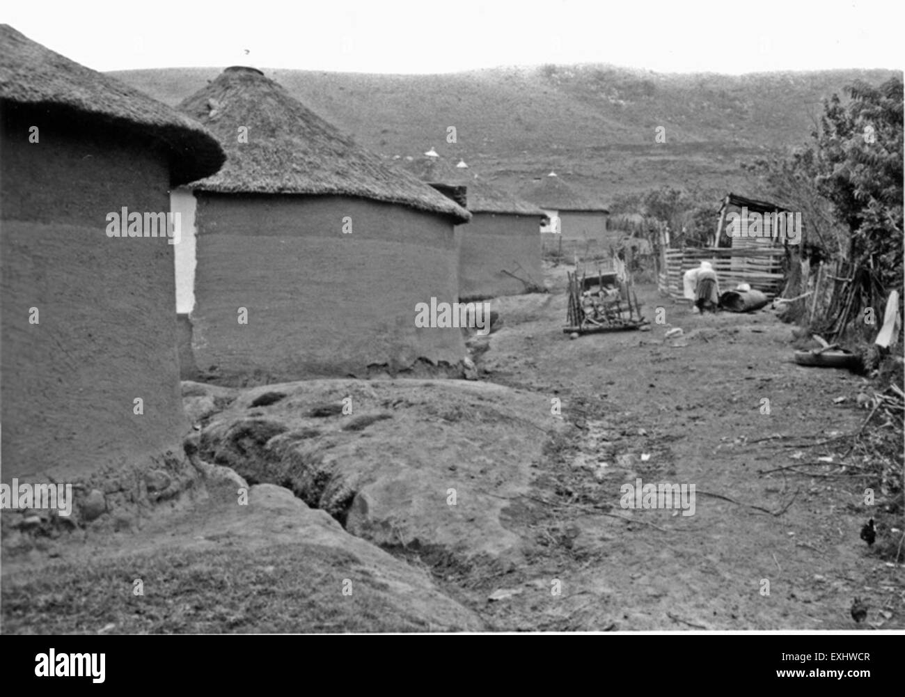 This image captures the backyard of a traditional family homestead ...
