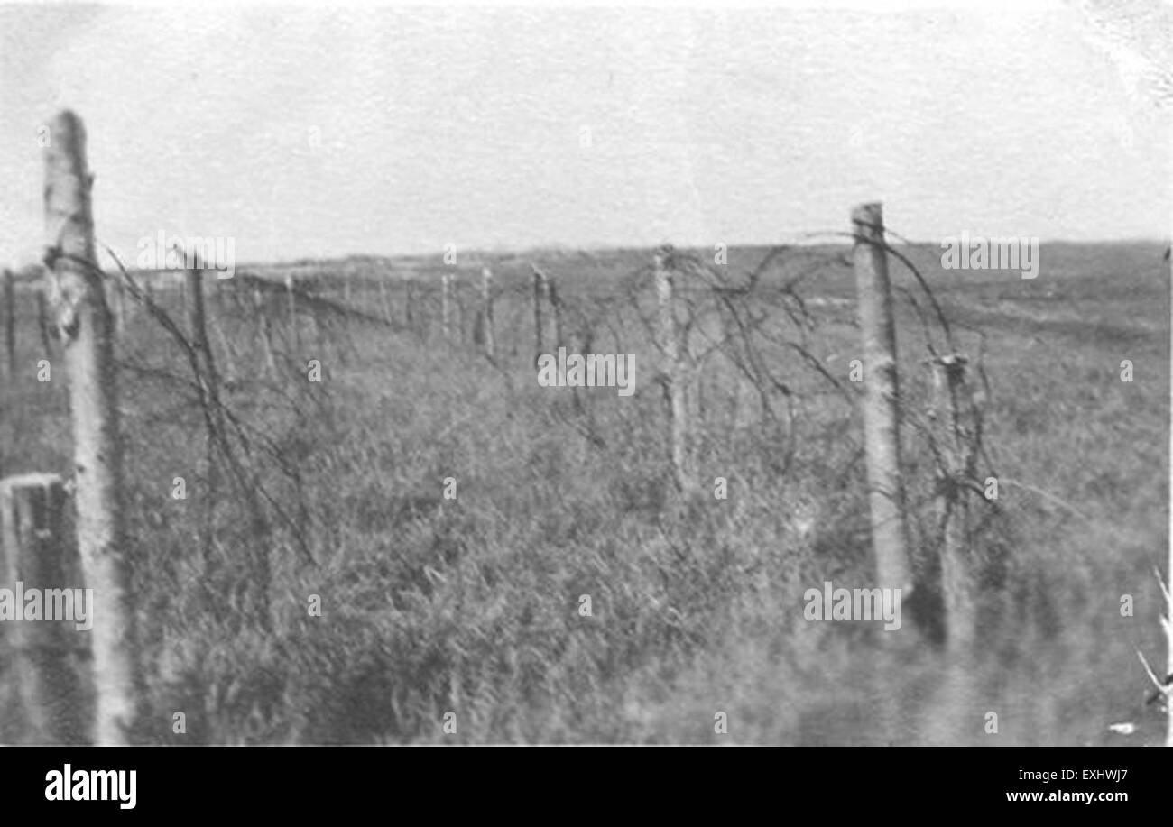 This photograph or artwork depicts barbed wire entanglements, a form of ...