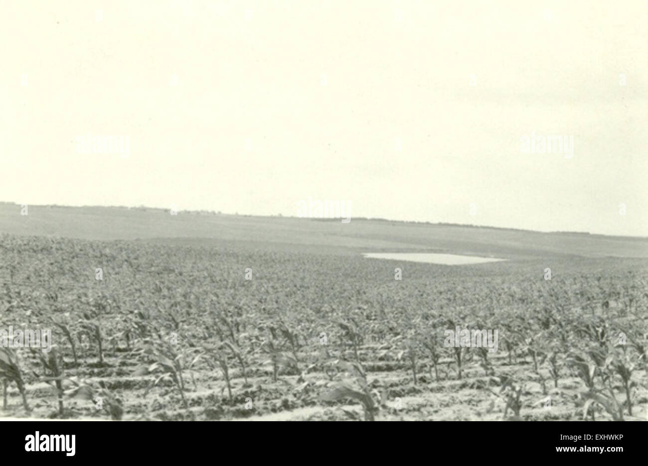 A rural farm scene from Beaver Crossing, Nebraska, featuring ...