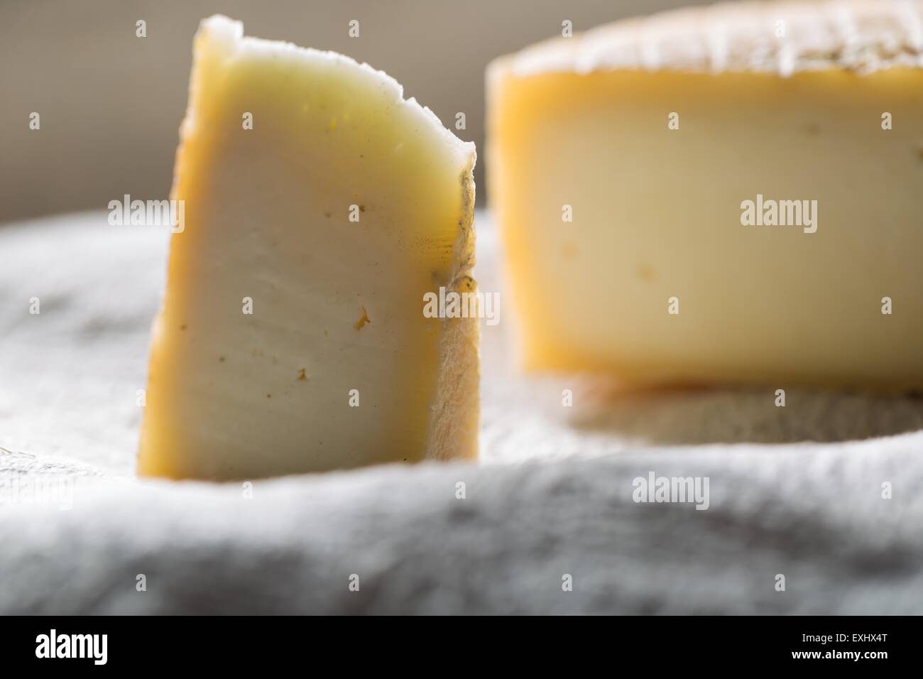 Still life with french goat cheese. Studio shoot with mystic light ...