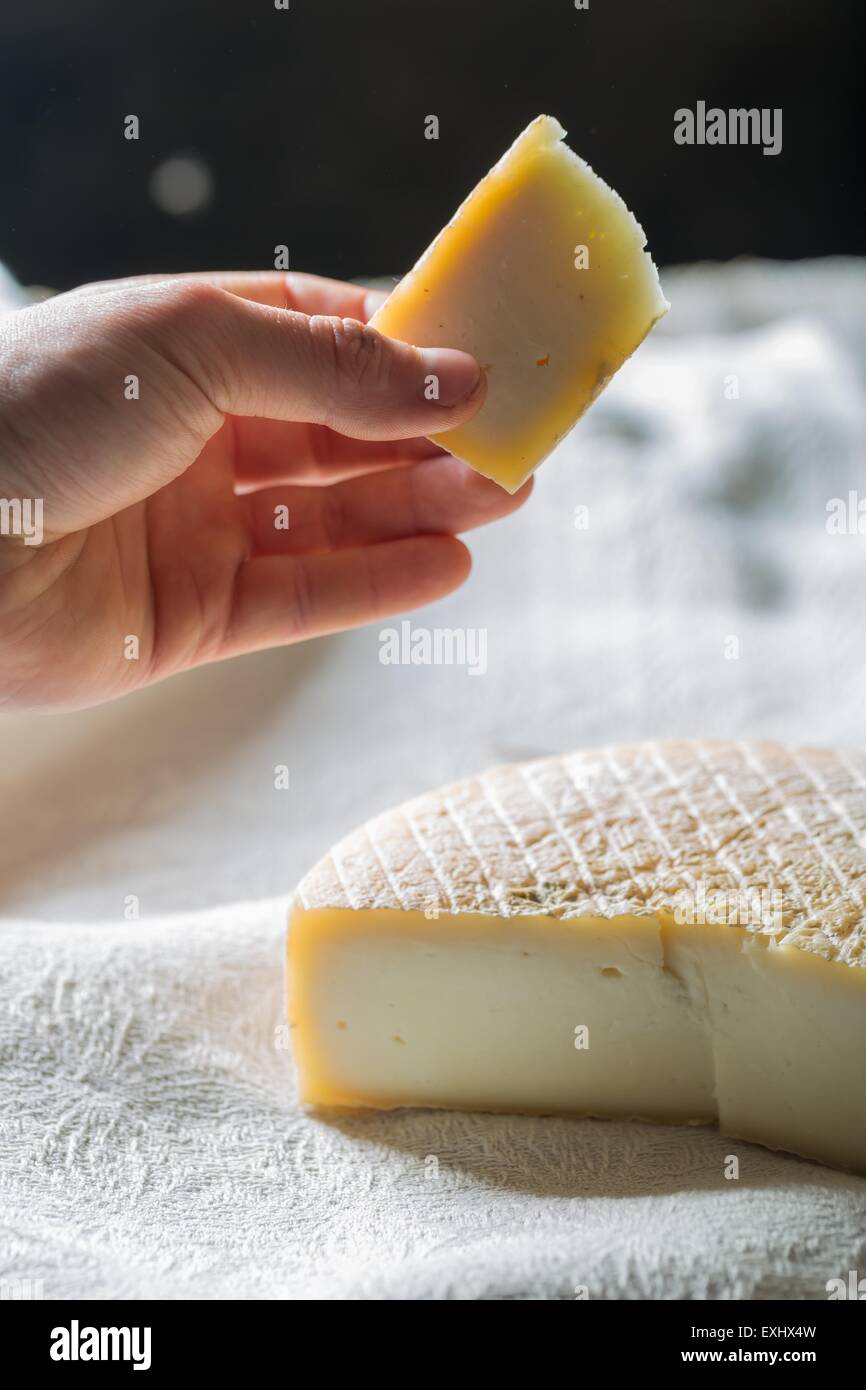 Still life with french goat cheese. Studio shoot with mystic light ...
