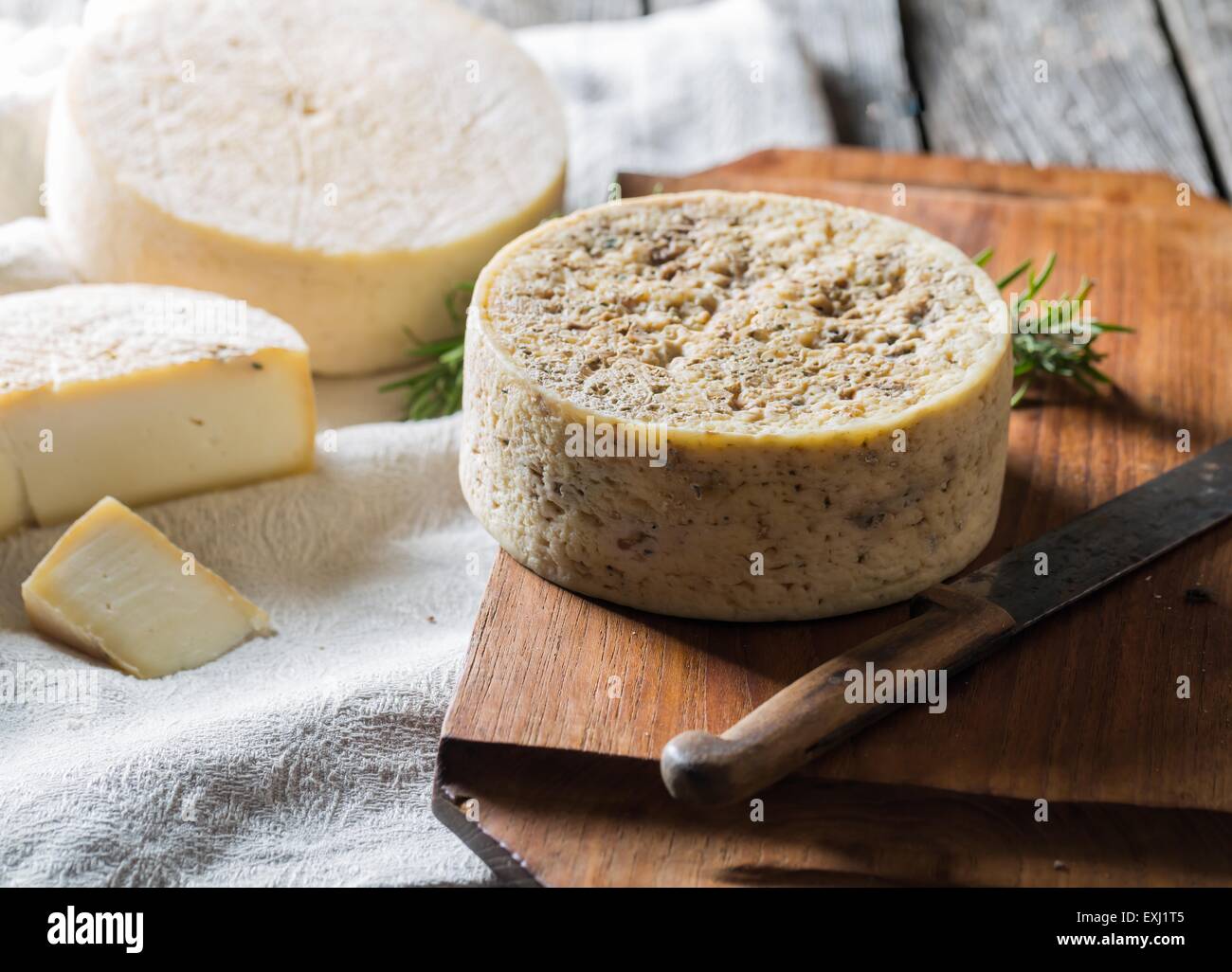 Still life with french goat cheese. Studio shoot with mystic light ...