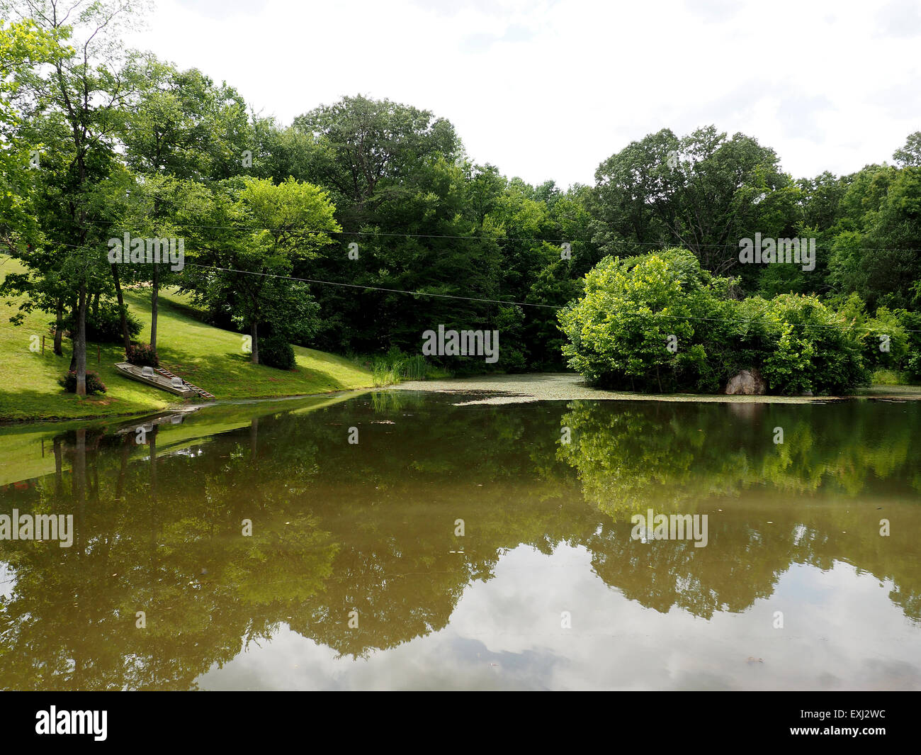 Pond at a park Stock Photo - Alamy