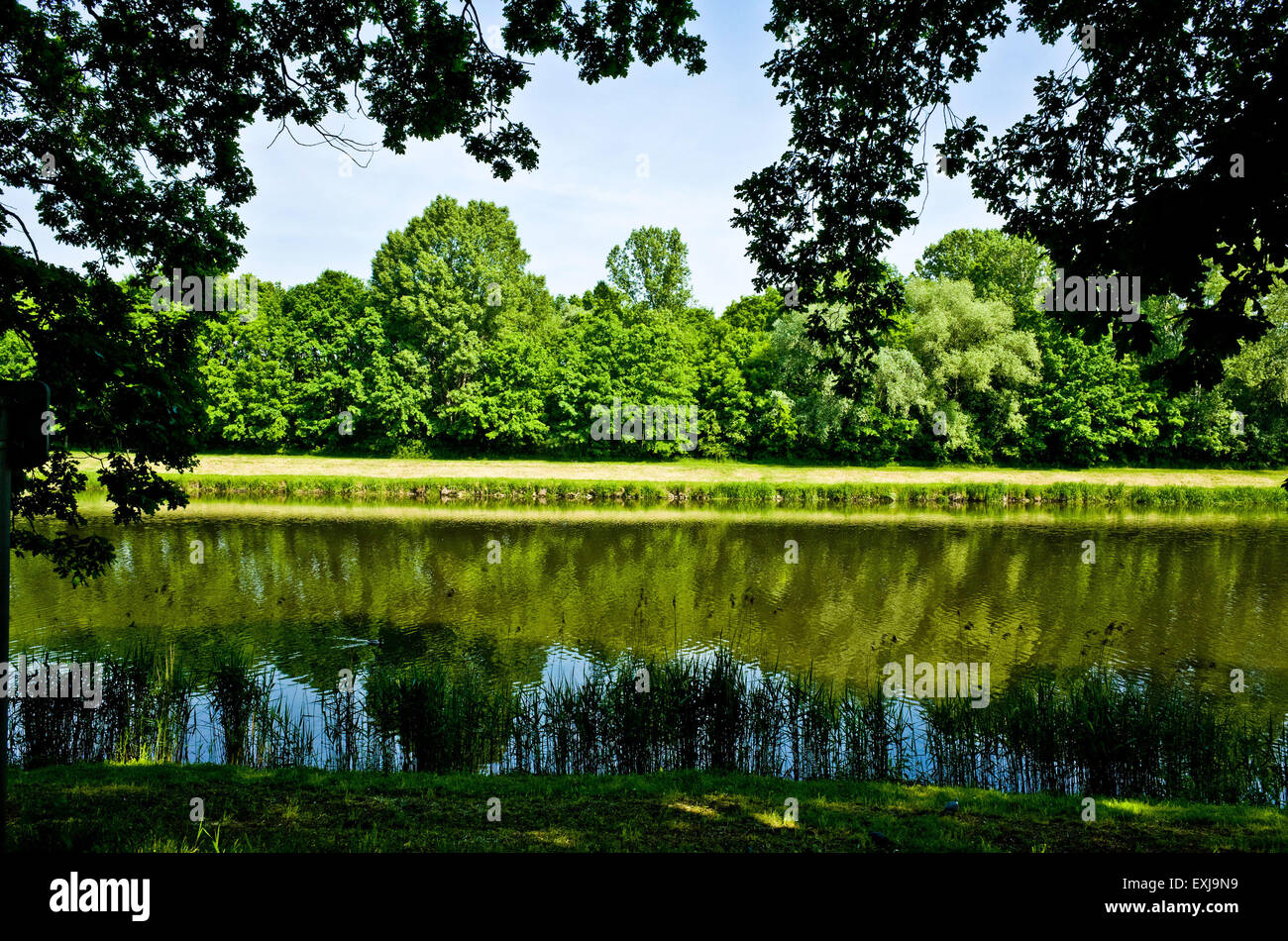 Trees riverbank green hi-res stock photography and images - Alamy