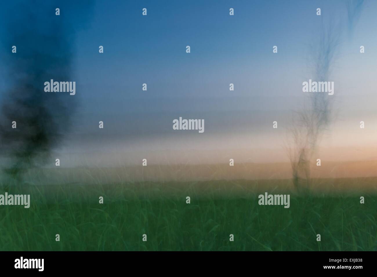 Background of blurred landscape. Corn field photographed at sunset or ...