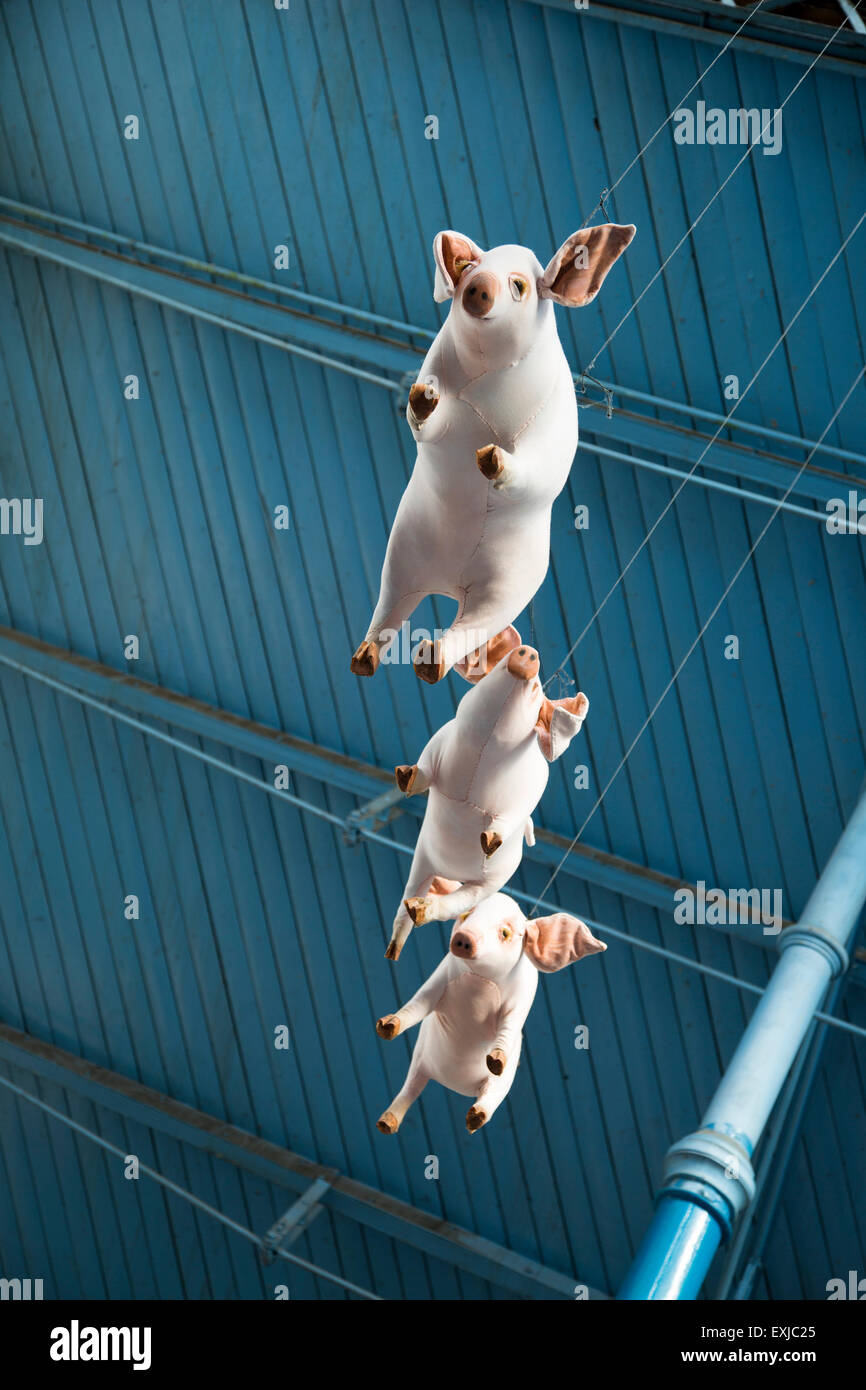 Flying pigs hi-res stock photography and images - Alamy