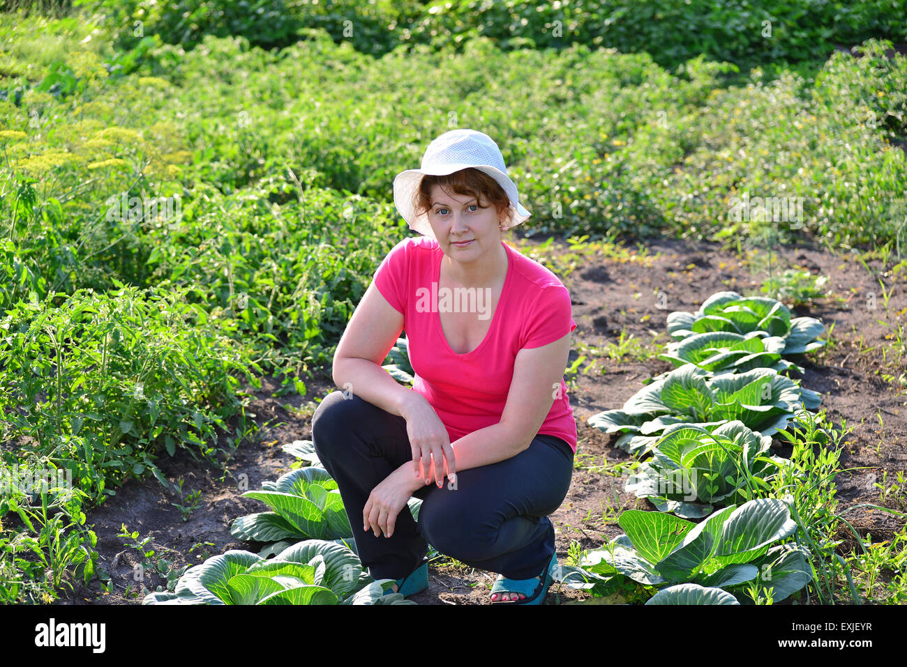 Cabbage in the garden hi-res stock photography and images - Alamy