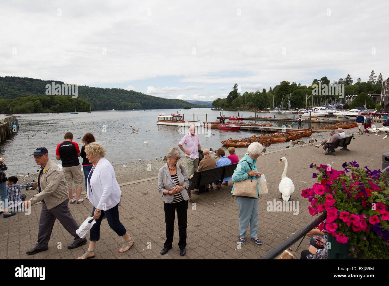 Lake Windermere Cumbria 14th July 2015 .UK Weather Lake Windermere suny ...