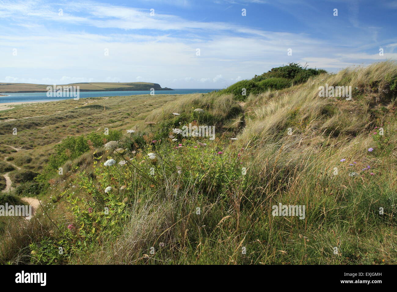 Coastal path from Rock to Polzeath, Camel estuary, North Cornwall ...