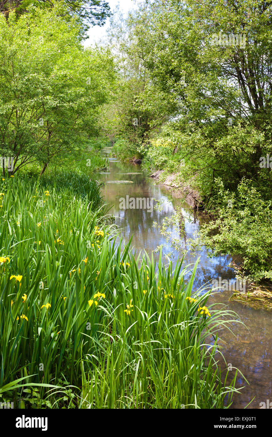 River Spring England Flowers Village High Resolution Stock Photography ...