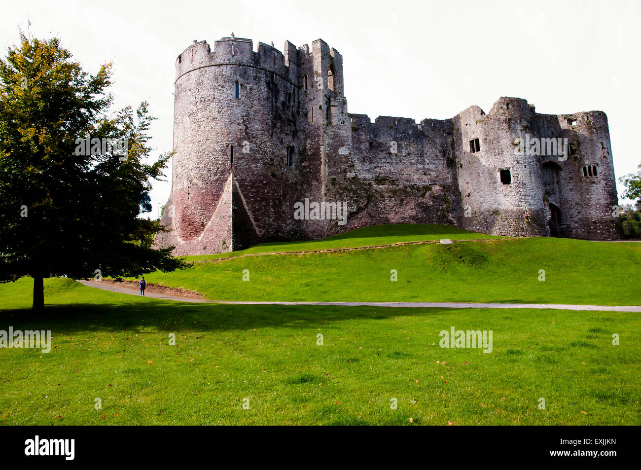Chepstow Castle - Wales Stock Photo - Alamy