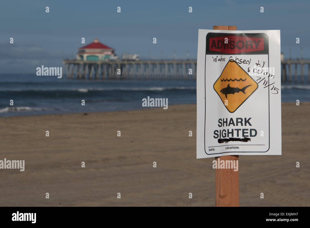 Shark sighted sign posted at Huntington Beach California in July 2015 ...