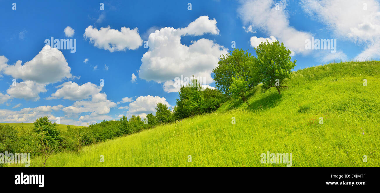 Rich countryside hi-res stock photography and images - Alamy