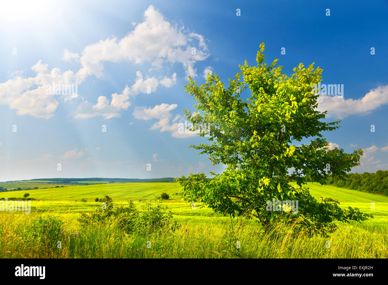Rich countryside hi-res stock photography and images - Alamy