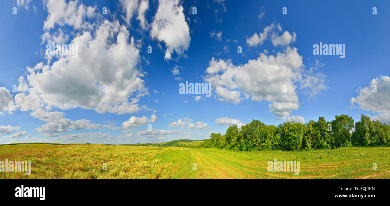 Rich countryside hi-res stock photography and images - Alamy