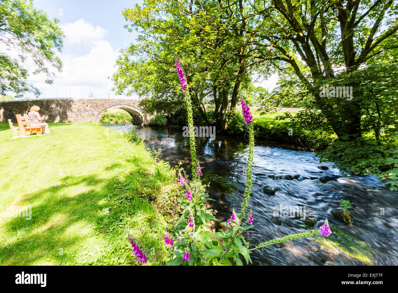 Two arch bridge gelli pembrokeshire hi-res stock photography and images ...