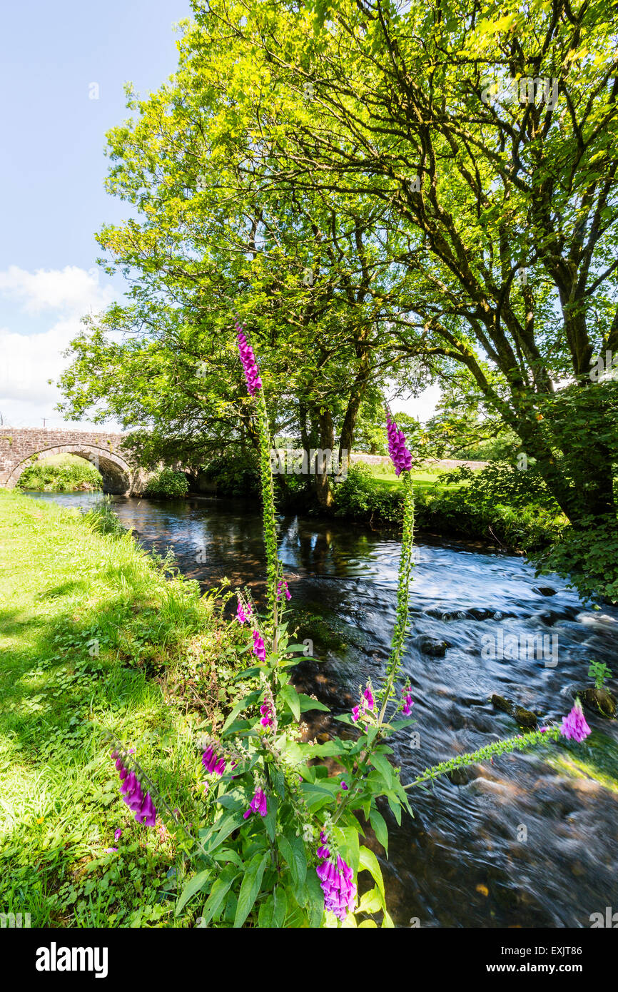 The Two arch bridge Gelli Pembrokeshire Stock Photo - Alamy