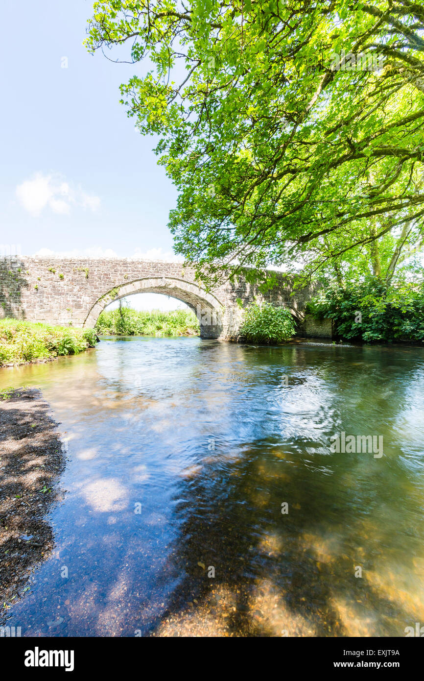 The Two arch bridge Gelli Pembrokeshire Stock Photo - Alamy