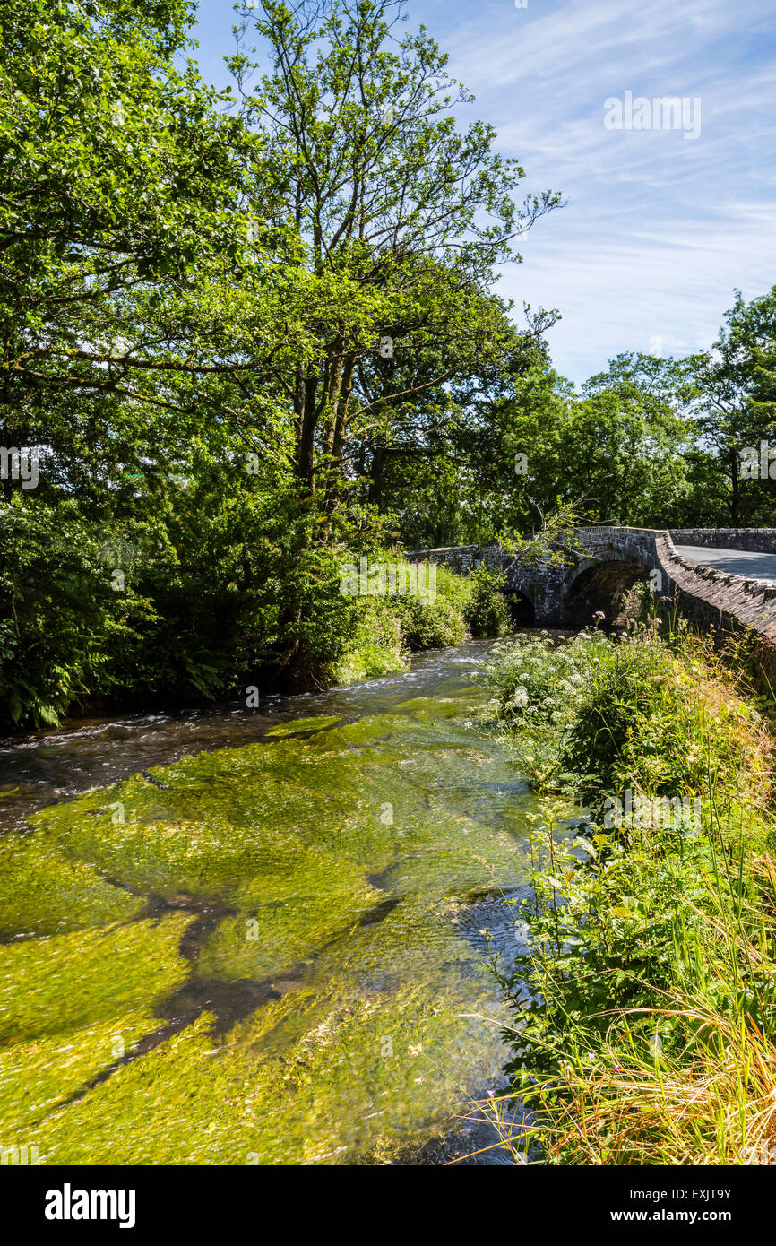 The Two arch bridge Gelli Pembrokeshire Stock Photo - Alamy