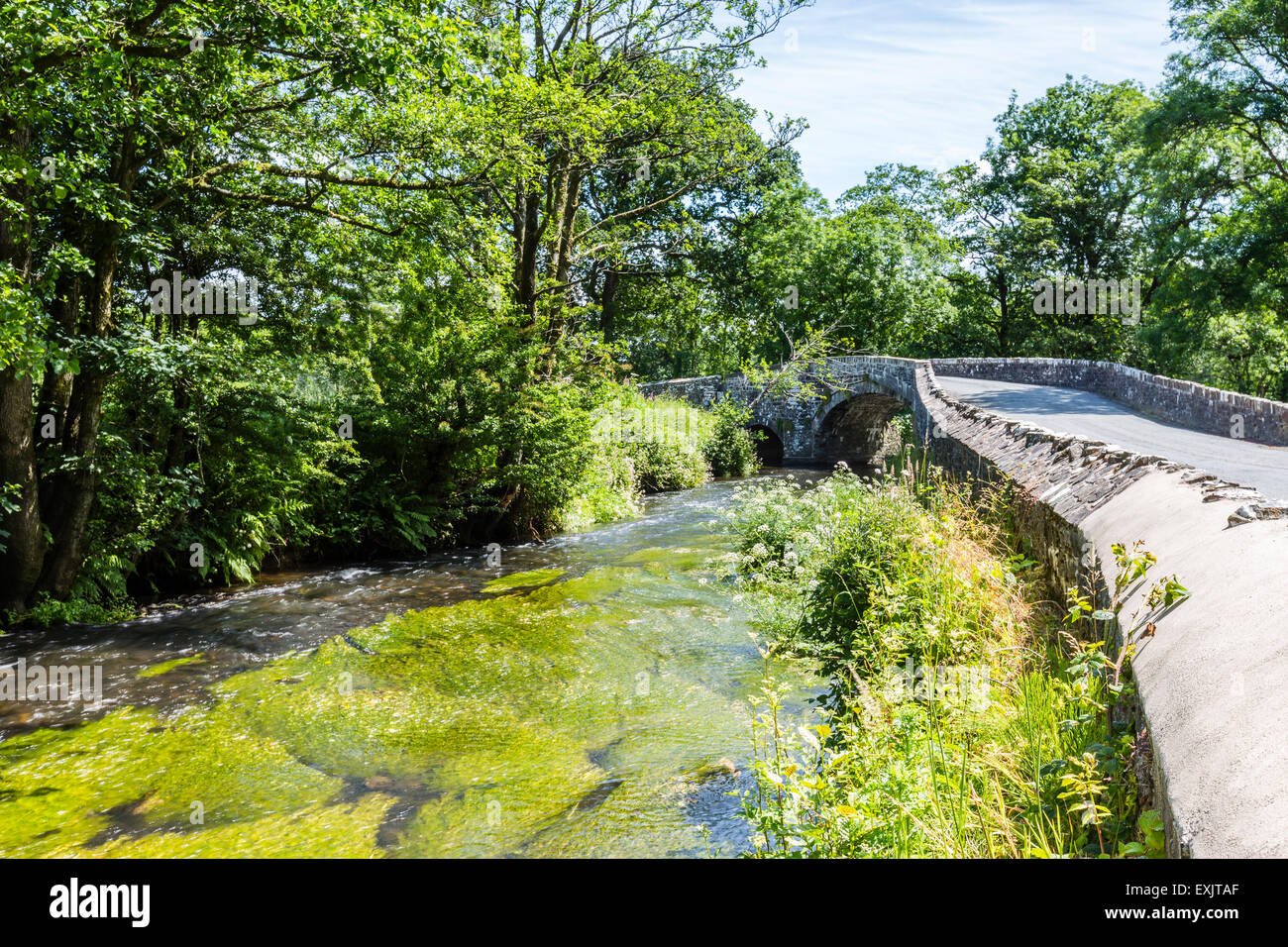 The Two arch bridge Gelli Pembrokeshire Stock Photo - Alamy
