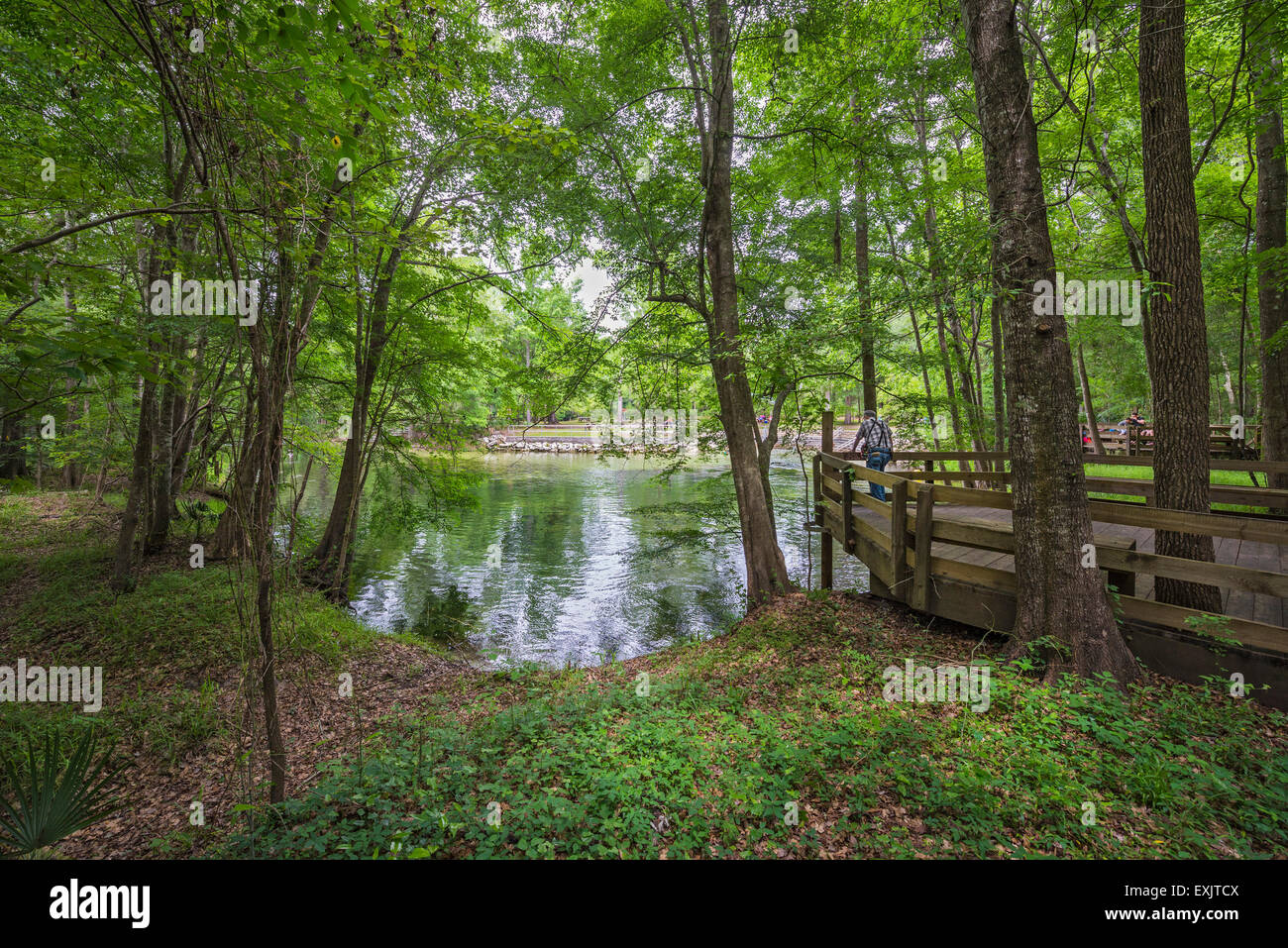 Poe Springs Park is owned by Alachua County and is located along the ...