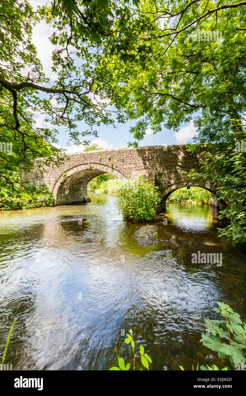 The Two arch bridge Gelli Pembrokeshire Stock Photo - Alamy