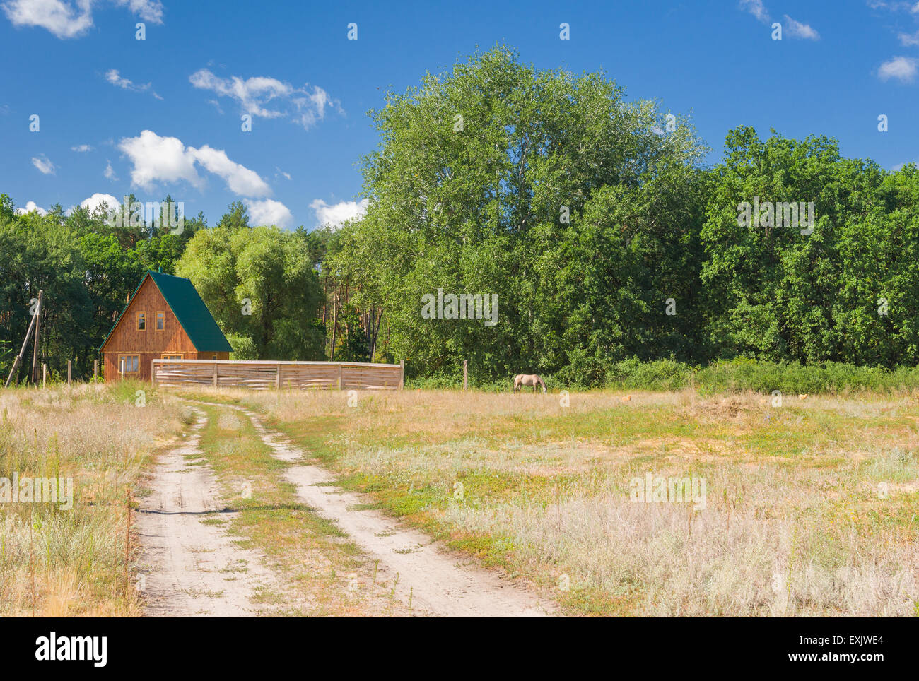 Ukrainian rural landscape with remote house on the edge of forest Stock ...