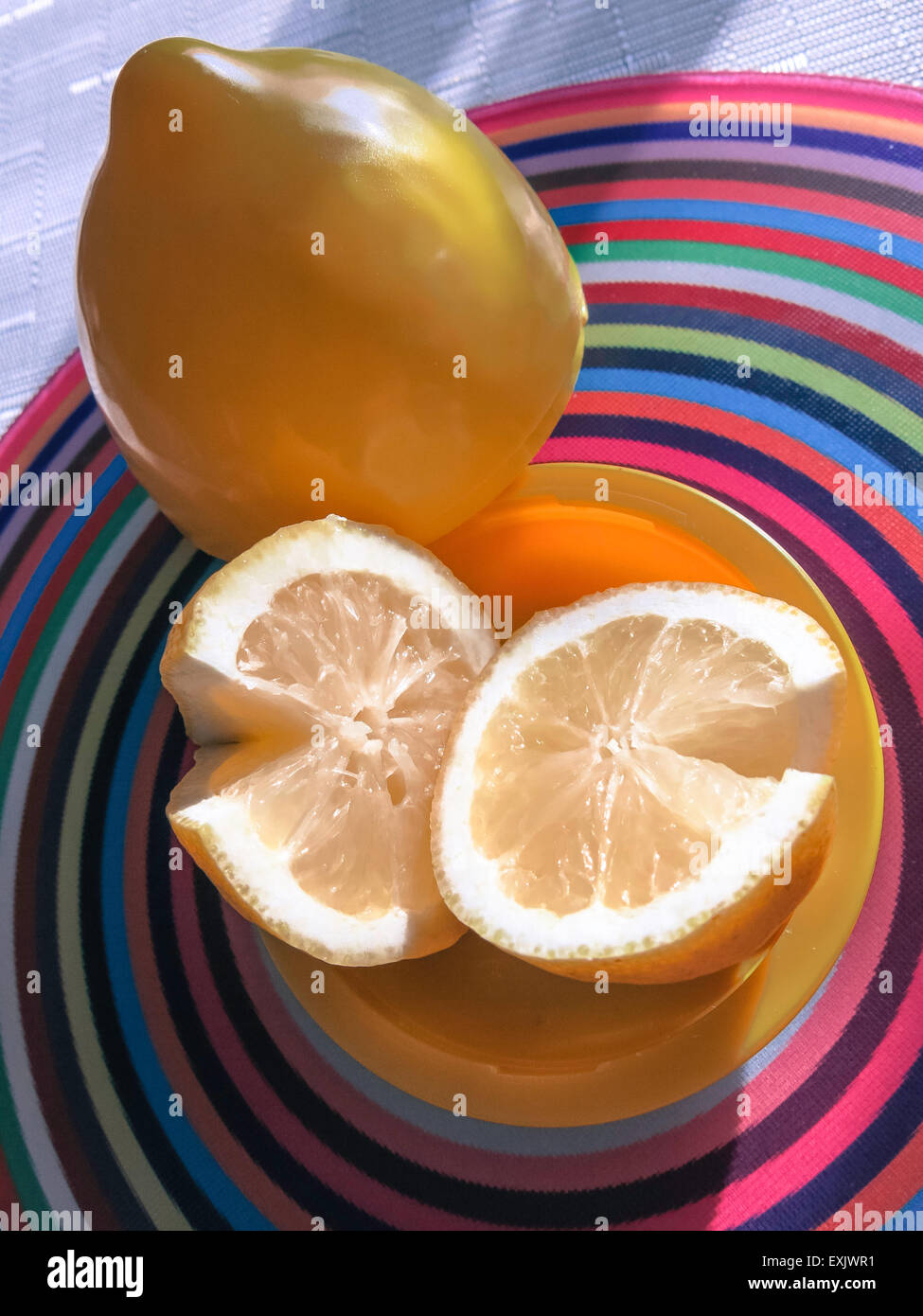 Sliced Fresh Lemons in Yellow Faux Lemon Plastic Storage Container, USA ...