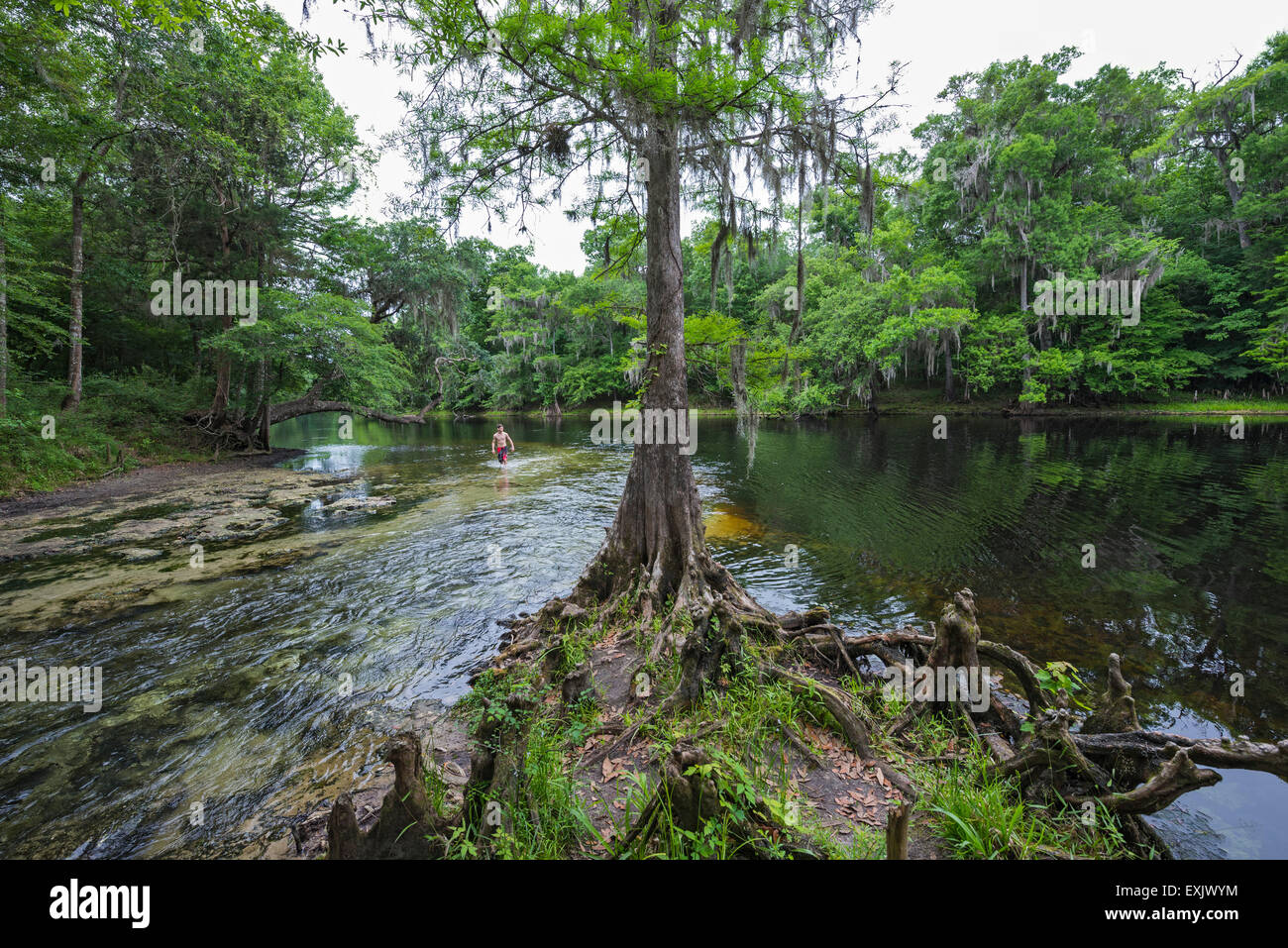 Poe Springs Park is owned by Alachua County and is located along the ...
