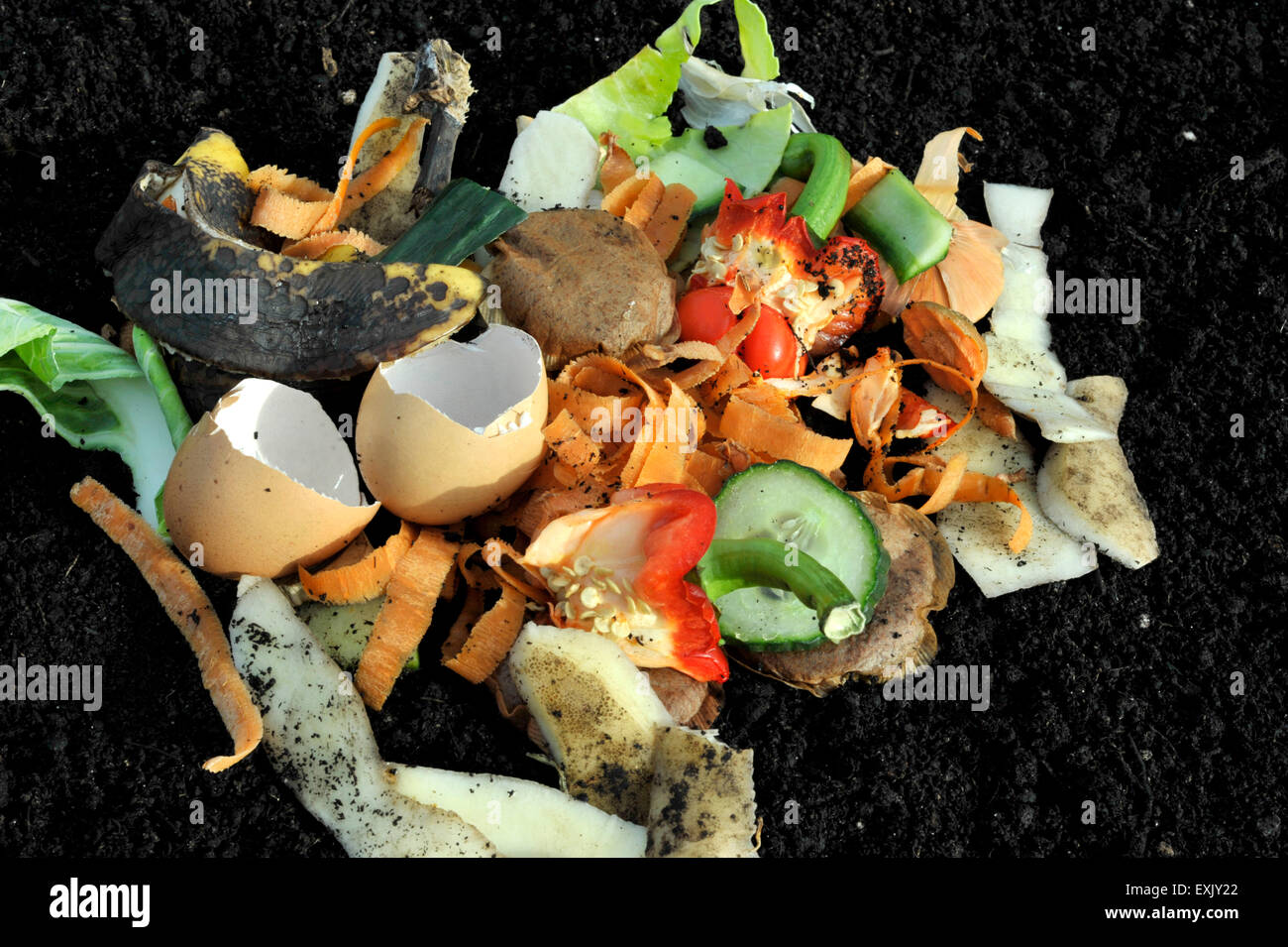 Household vegetable and kitchen waste recycling into compost Stock ...