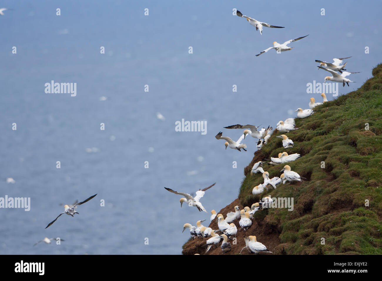 Group crowd crowded resting hi-res stock photography and images - Alamy