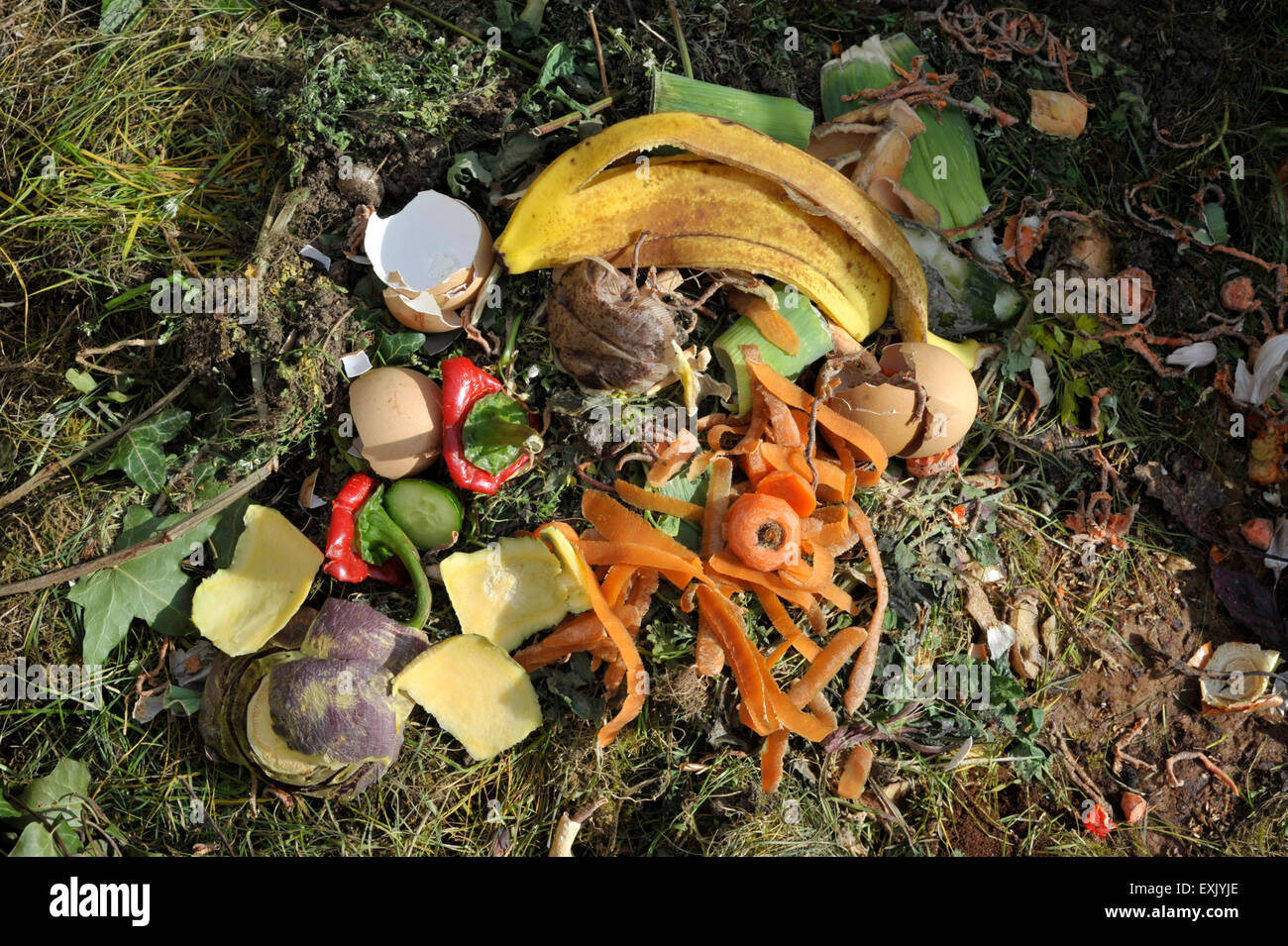 Kitchen waste hi-res stock photography and images - Alamy
