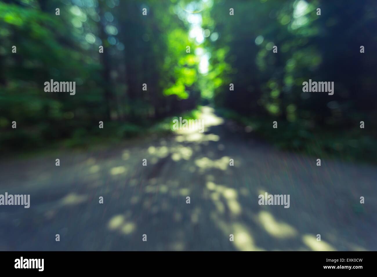 Abstract landscape of defocused summer forest, photo useful as ...