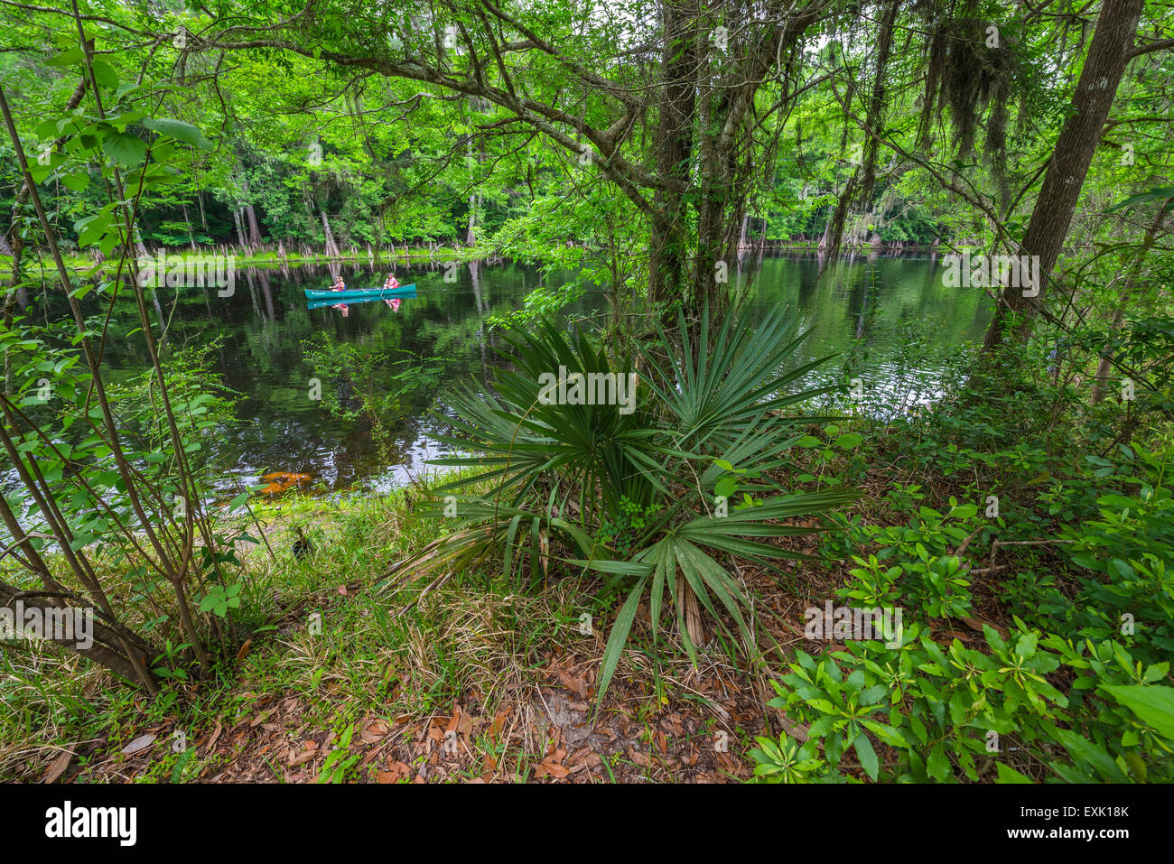 Poe Springs Park is owned by Alachua County and is located along the ...