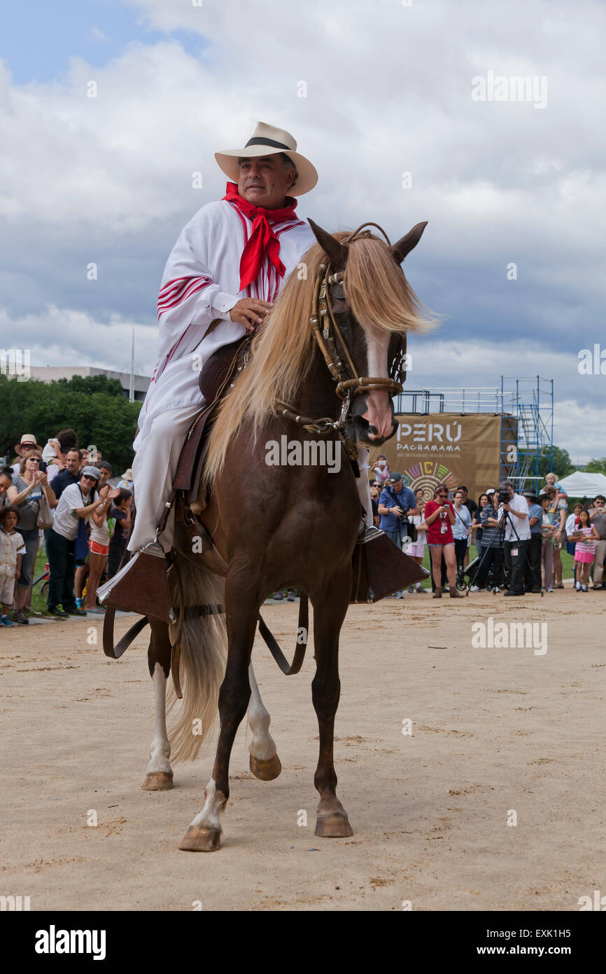 Peruvian Paso horse rider in traditional dress demonstrating the ...