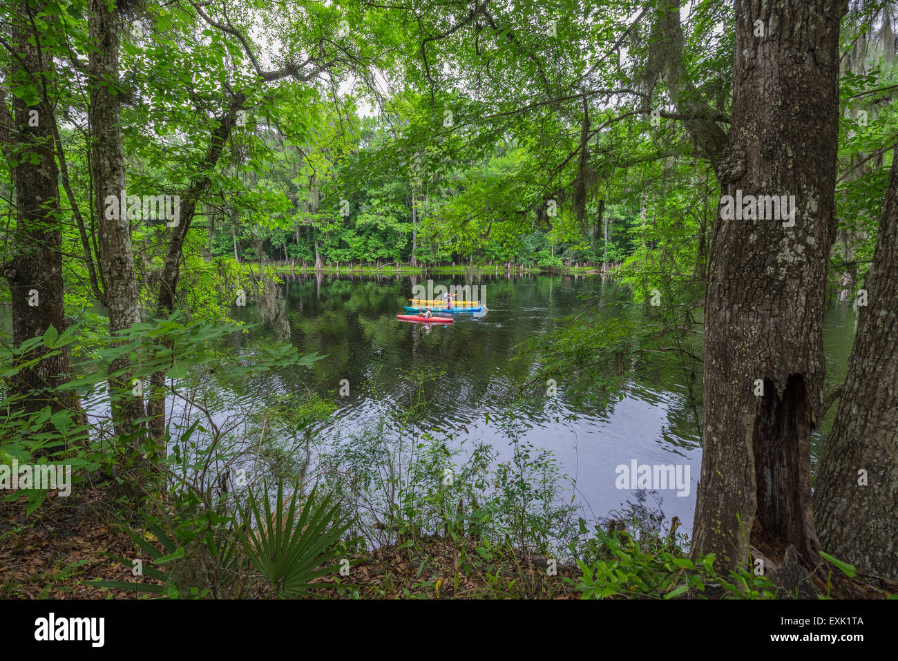 Poe Springs Park is owned by Alachua County and is located along the ...
