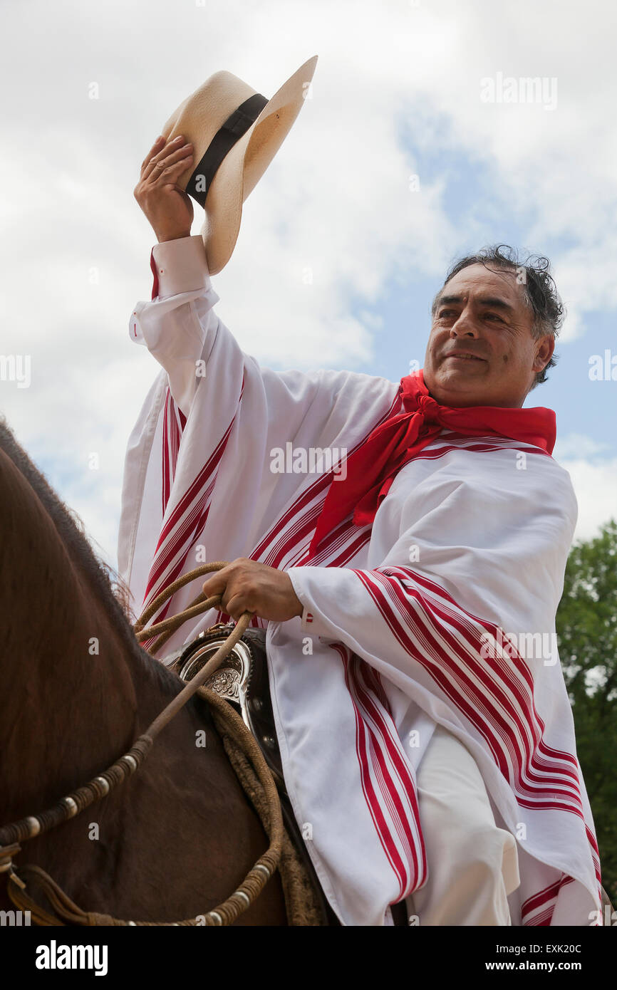 Peruvian paso horse rider in hi-res stock photography and images - Alamy