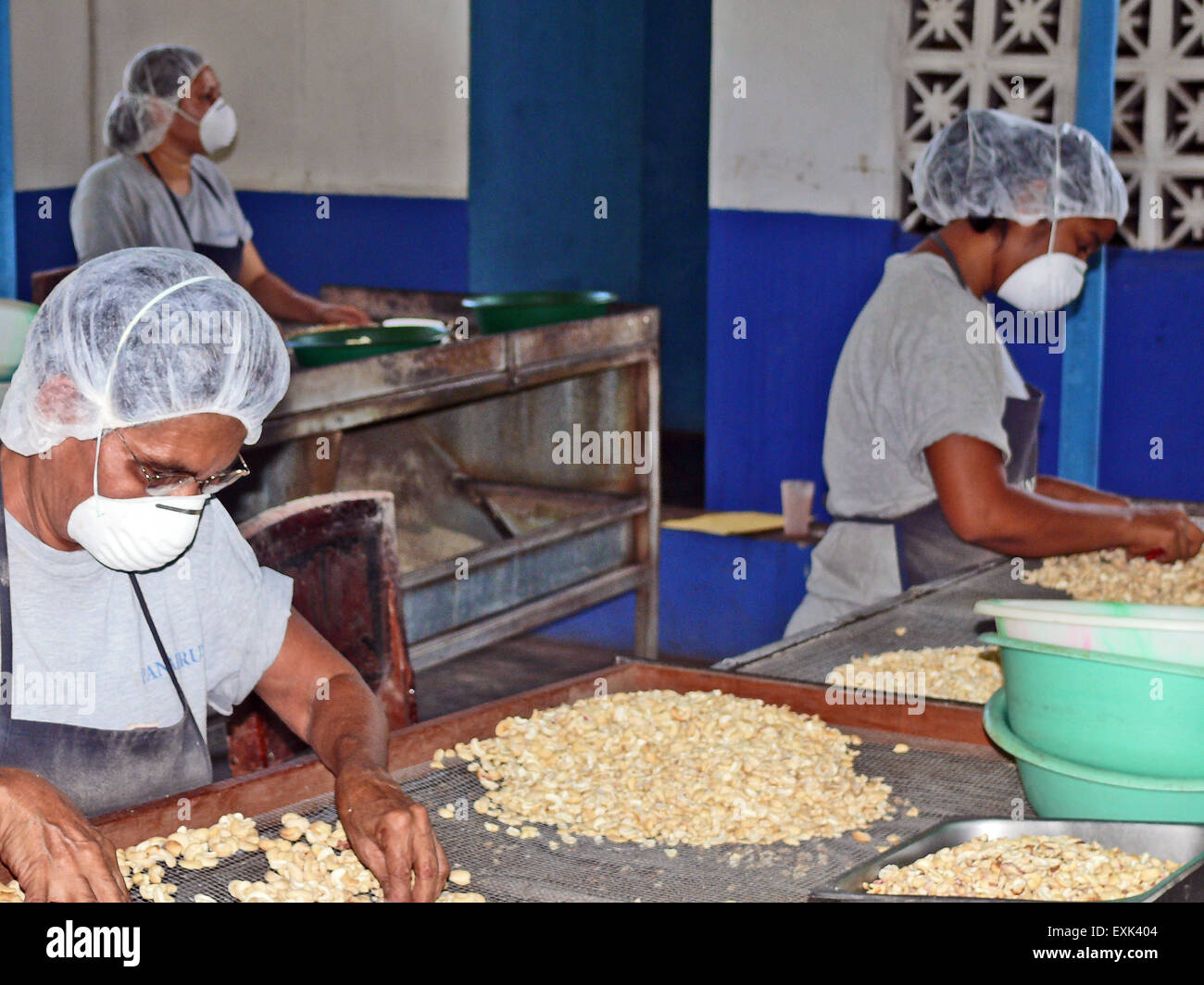 Cashew nuts factory hi-res stock photography and images - Alamy