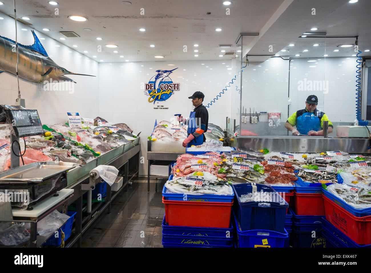 Australian fish market hi-res stock photography and images - Alamy